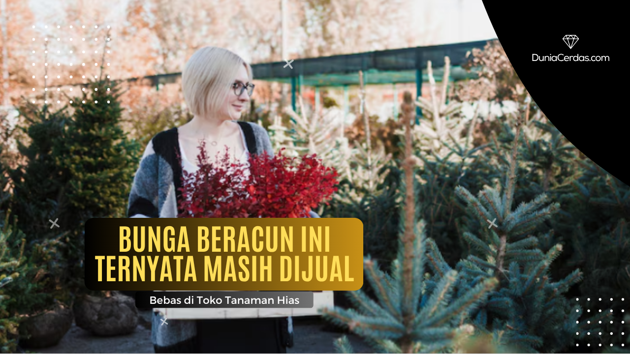 Bunga Beracun Ini Ternyata Masih Dijual Bebas di Toko - Dunia Cerdas