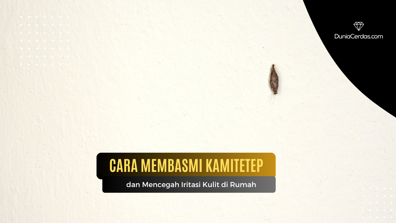 Cara Membasmi Kamitetep Secara Ampuh dan Aman di Rumah - Dunia Cerdas
