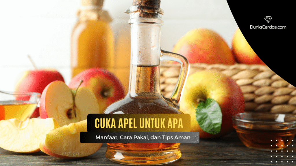 Cuka Apel untuk Apa: Manfaat, Cara Pakai, dan Tips Aman - Dunia Cerdas