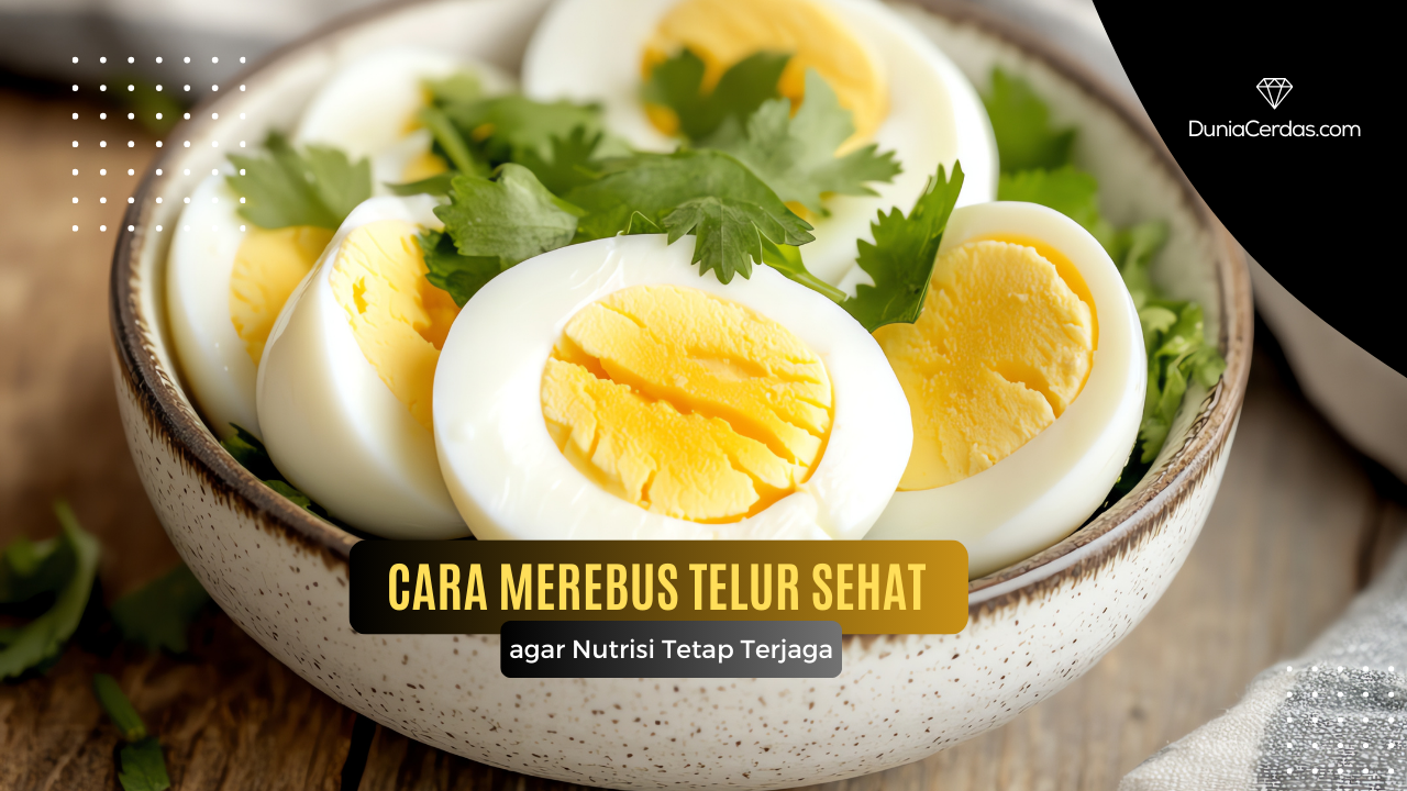Cara Merebus Telur Sehat agar Nutrisi Tetap Terjaga - Dunia Cerdas