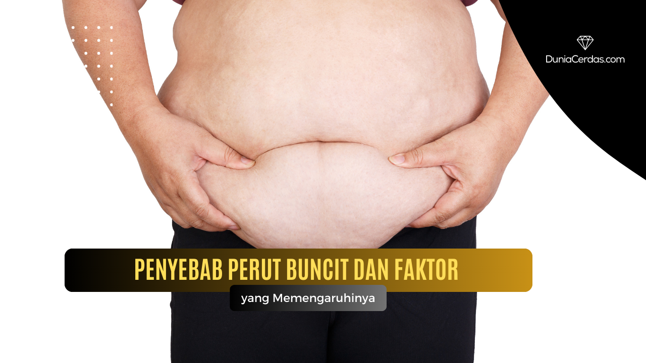Penyebab Perut Buncit dan Faktor yang Memengaruhinya - Dunia Cerdas