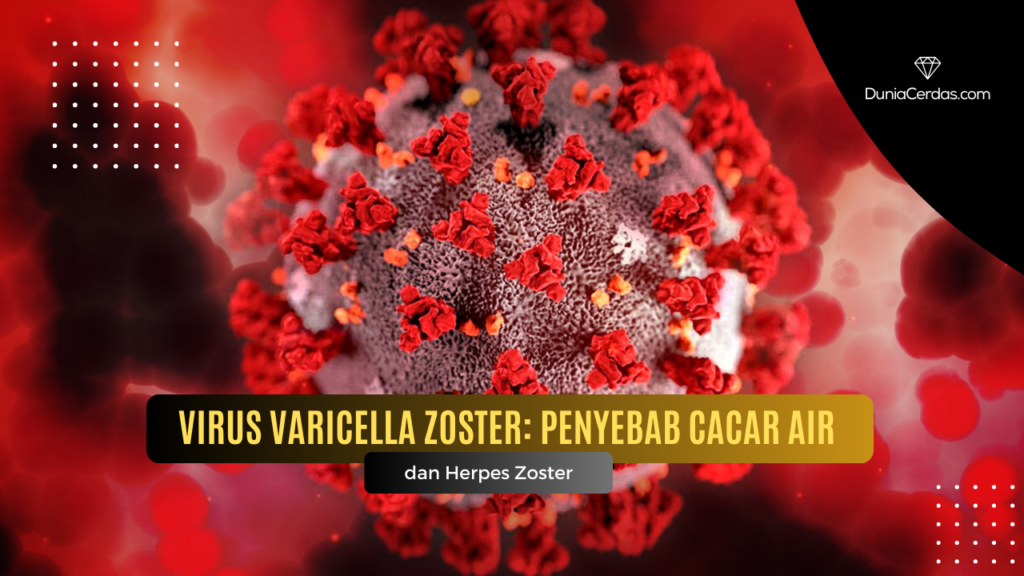 Virus Varicella Zoster: Penyebab Cacar Air dan Herpes Zoster - Dunia Cerdas