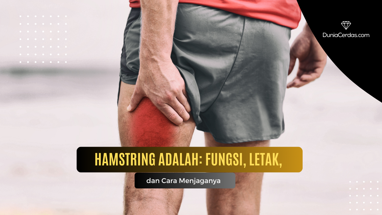 Hamstring Adalah: Fungsi, Letak, dan Cara Menjaganya - Dunia Cerdas
